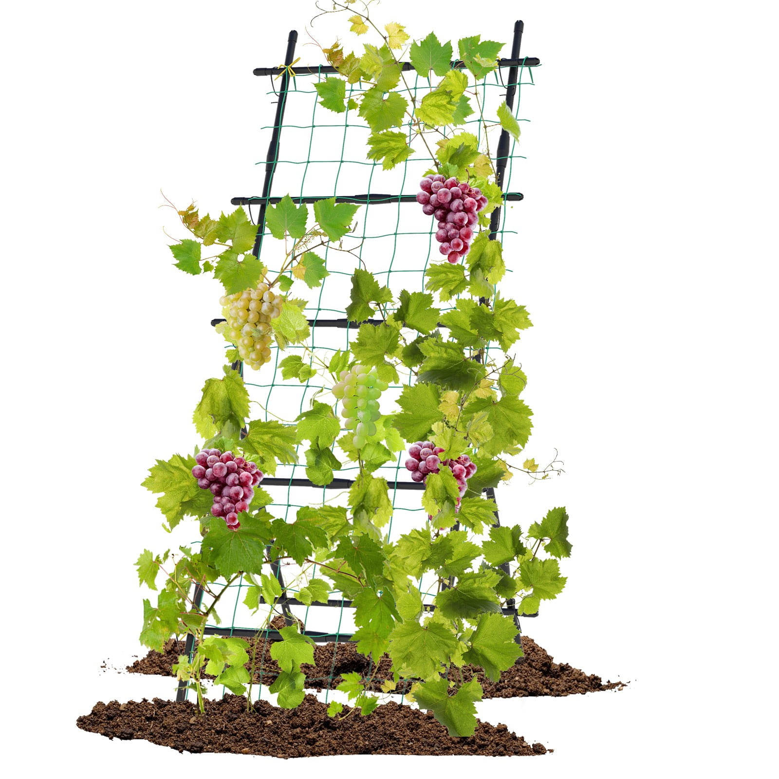 74" Tall Garden Trellis w/ Netting, Plastic Coated Metal Poles for ...