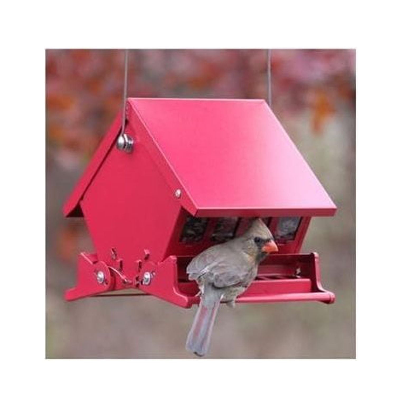 7458 4 Lb Capacity Squirrel Proof Feeder - Walmart.com