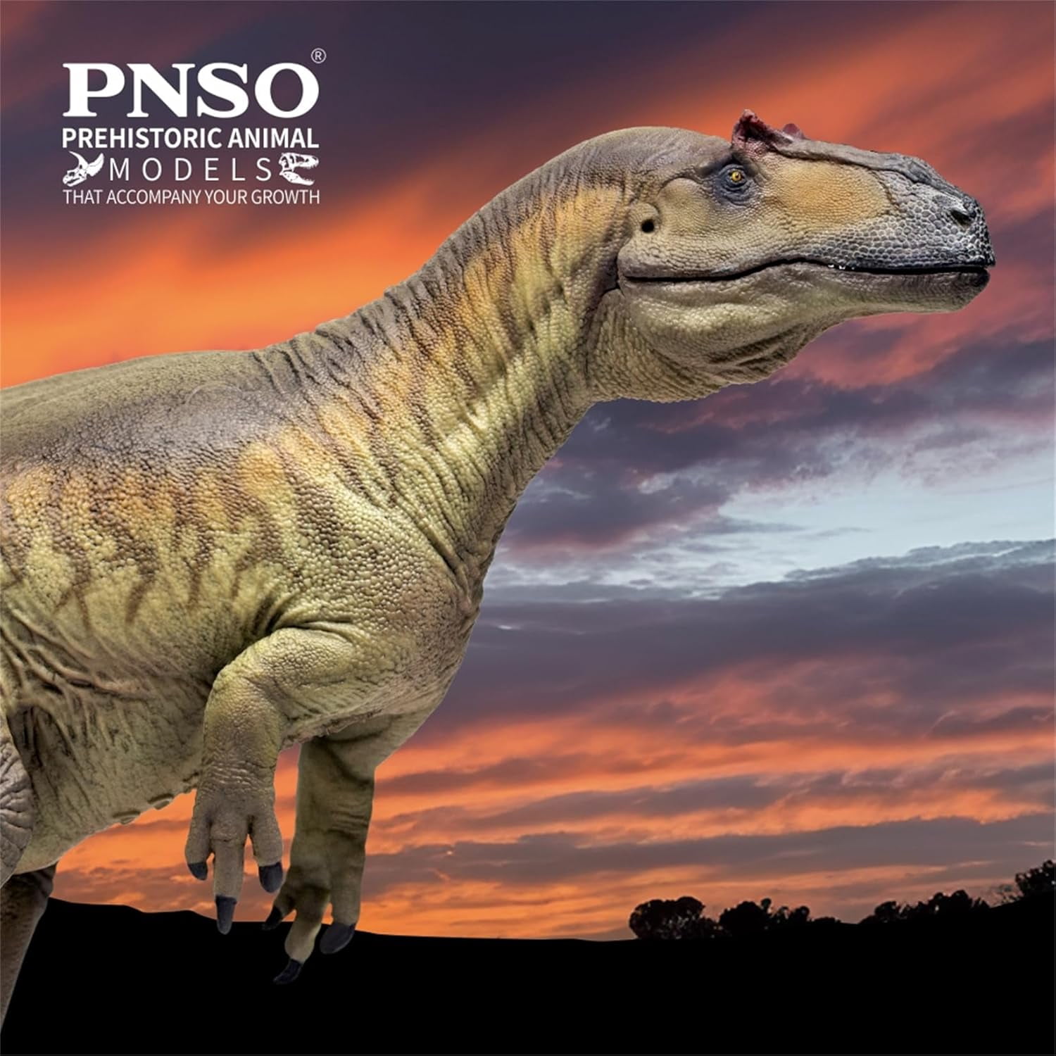 75 Donald The Saurophaganax Figure Allosauroidea Prehistoric Dinosaur ...