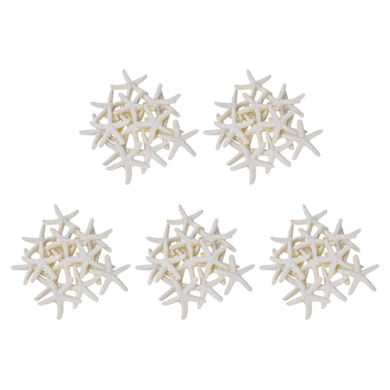75 Pieces Creamy-White Pencil Finger Starfish for Wedding Decor, Home ...