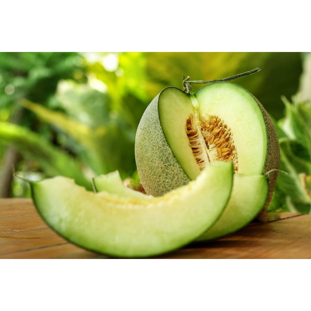 75 Seeds Green Flesh ROCKY FORD CANTALOUPE Muskmelon Cucumis Melo Melon ...