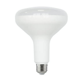 75 Watt LED Bulbs