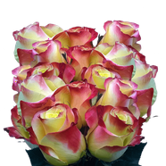 Globalrose Fresh Real Live 50 Red Roses Bundle - Walmart.com