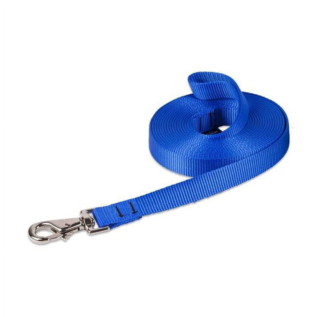 75 in. Blue 15 ft. Gate Snap Training Lead - Walmart.com