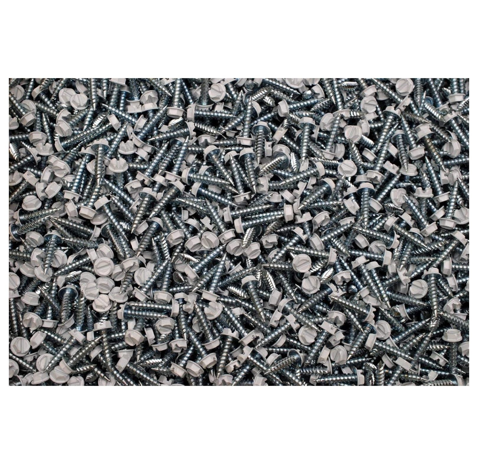 (750) White Painted Zip Screws 8 x 3/4 Self-Piercing Hex Washer Sheet ...