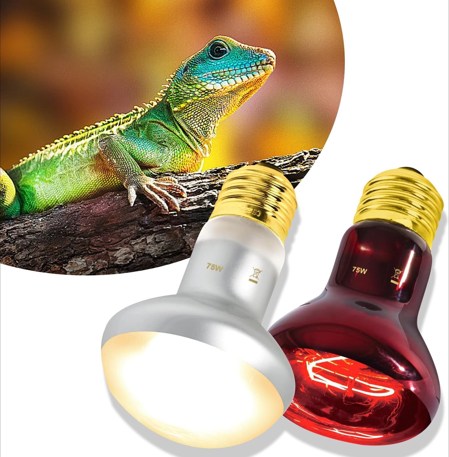 75W Reptile Heat Lamp Bulb 2-Pack,Complete Day & Night Basking Spot Light Combo Including ...