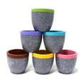 7829 6 Pieces Flower Pots Plants Container Small Plastic Pots Succulent ...