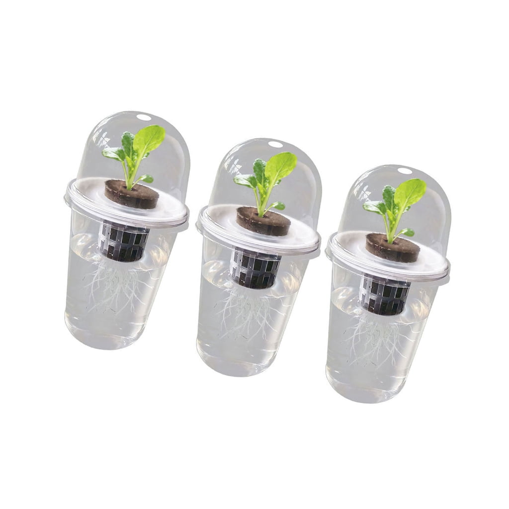 7829 Plant Seedling Nutrition Cup Starting Grow Cup Flower Plant ...