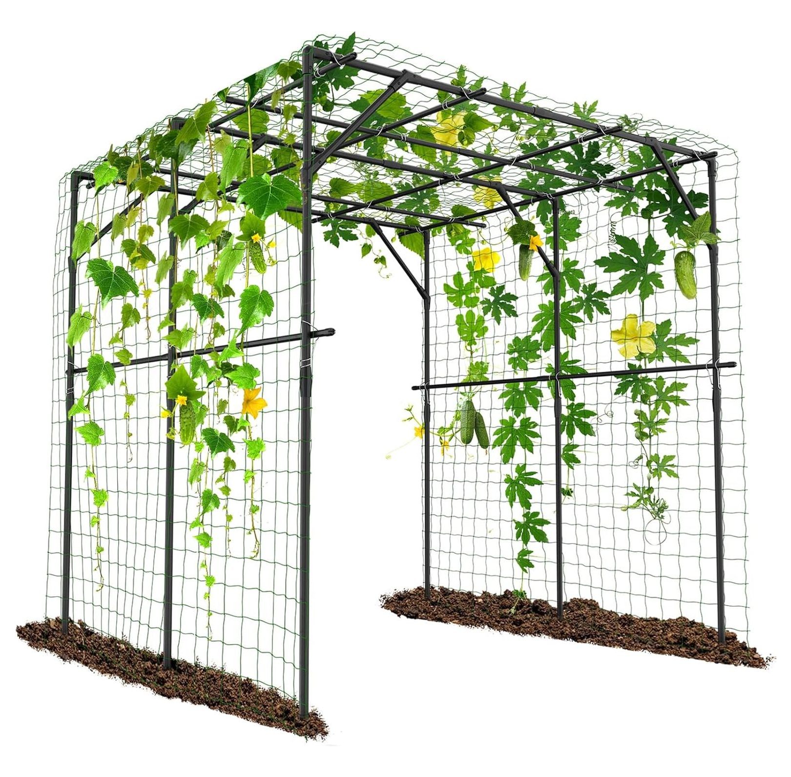 79'' L x 79'' W x 79'' H Large Tall Grape Vine Support Arch Arbor ...