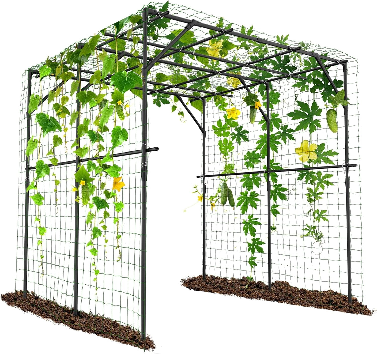 79'' L x 79'' W x 79'' H Large Tall Grape Vine Support Arch Arbor ...
