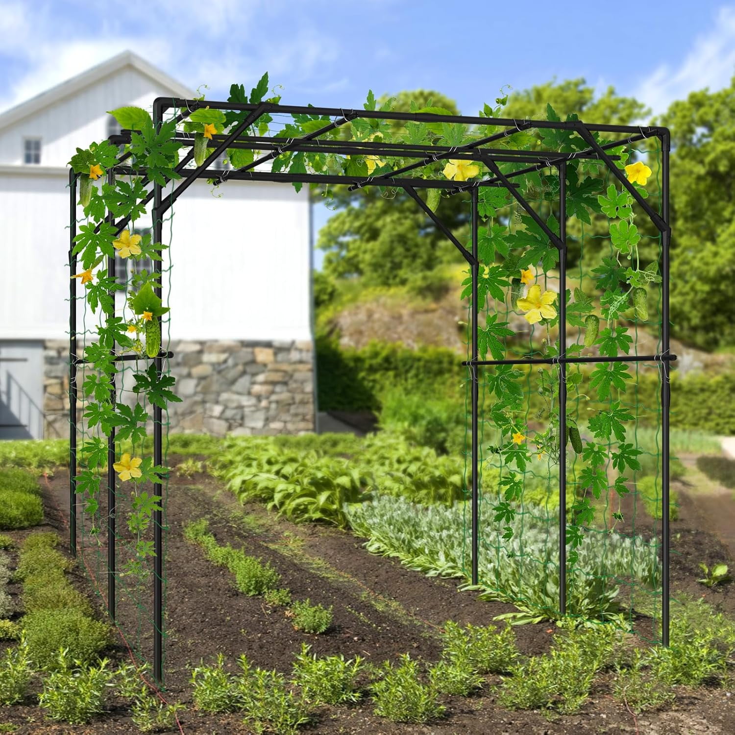 79'' L x 79'' W x 79'' H Large Tall Grape Vine Support Arch Arbor ...