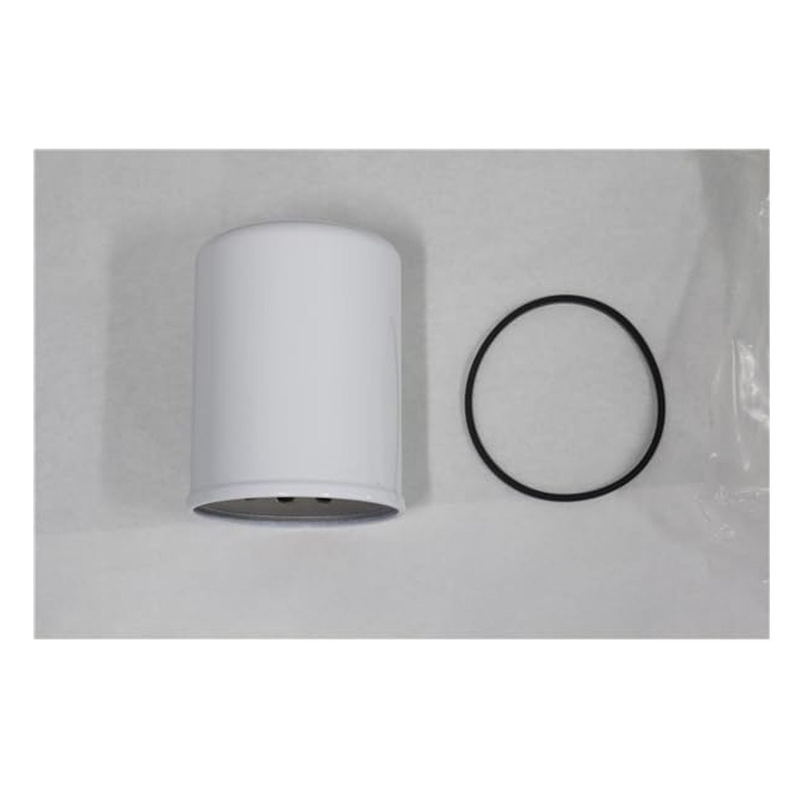 791248 10 Micron Filter - Walmart.com