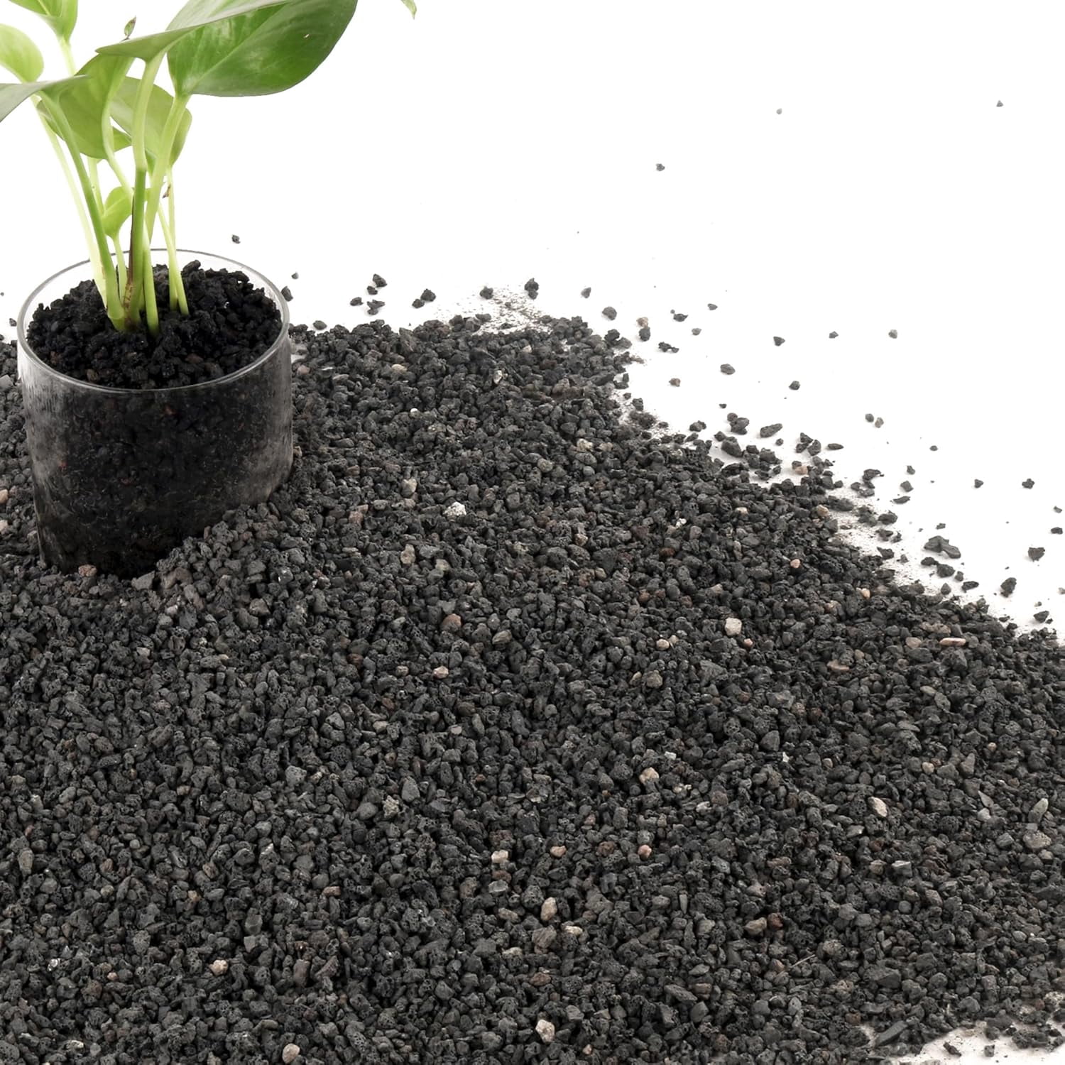 7LB Black Lava Rocks for Plants, Volcanic Rock Horticultural Lava Rock ...