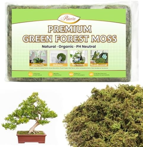 7OZ Artificial Fake Moss for Fake Plants Indoor- Premium Faux Craft ...