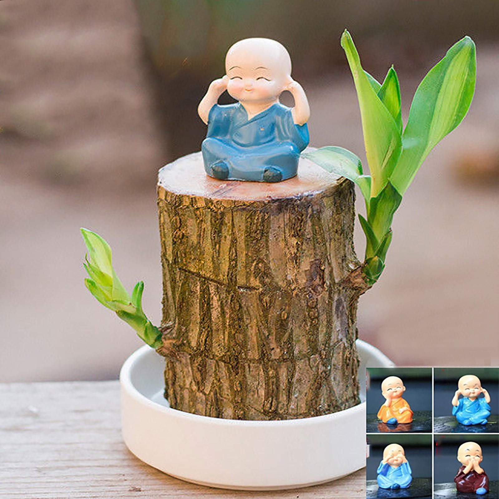 7X15cm Brazilian Wood Decor, Brazilian Lucky Wood with Random Little ...