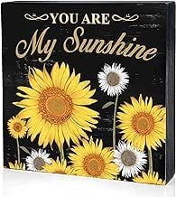 7X7 Inch Inspirational Wooden Box Sign Desk Decor You Are My Sunshine ...