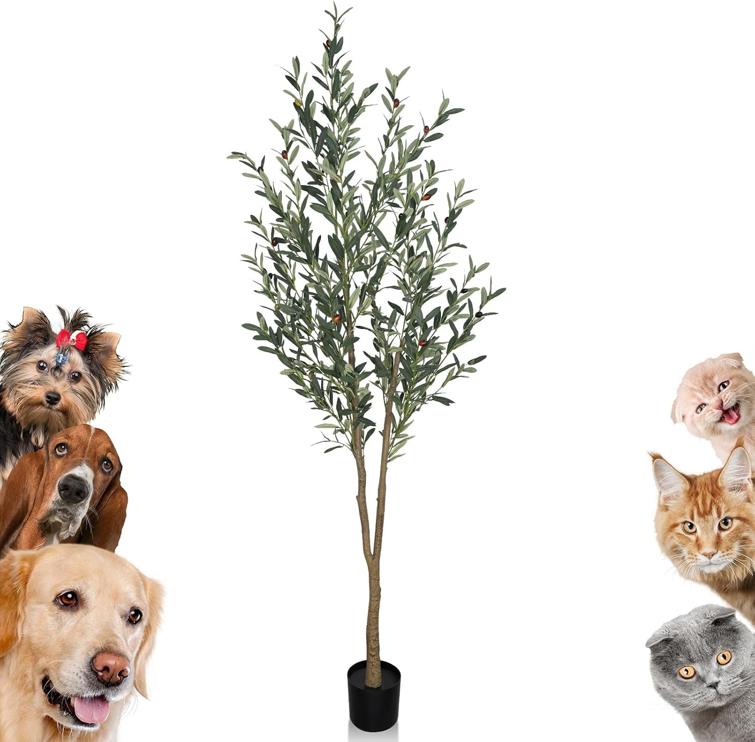 7ft Artificial Olive Trees Indoor, Faux Olive Plants Tree, Potted Olive ...