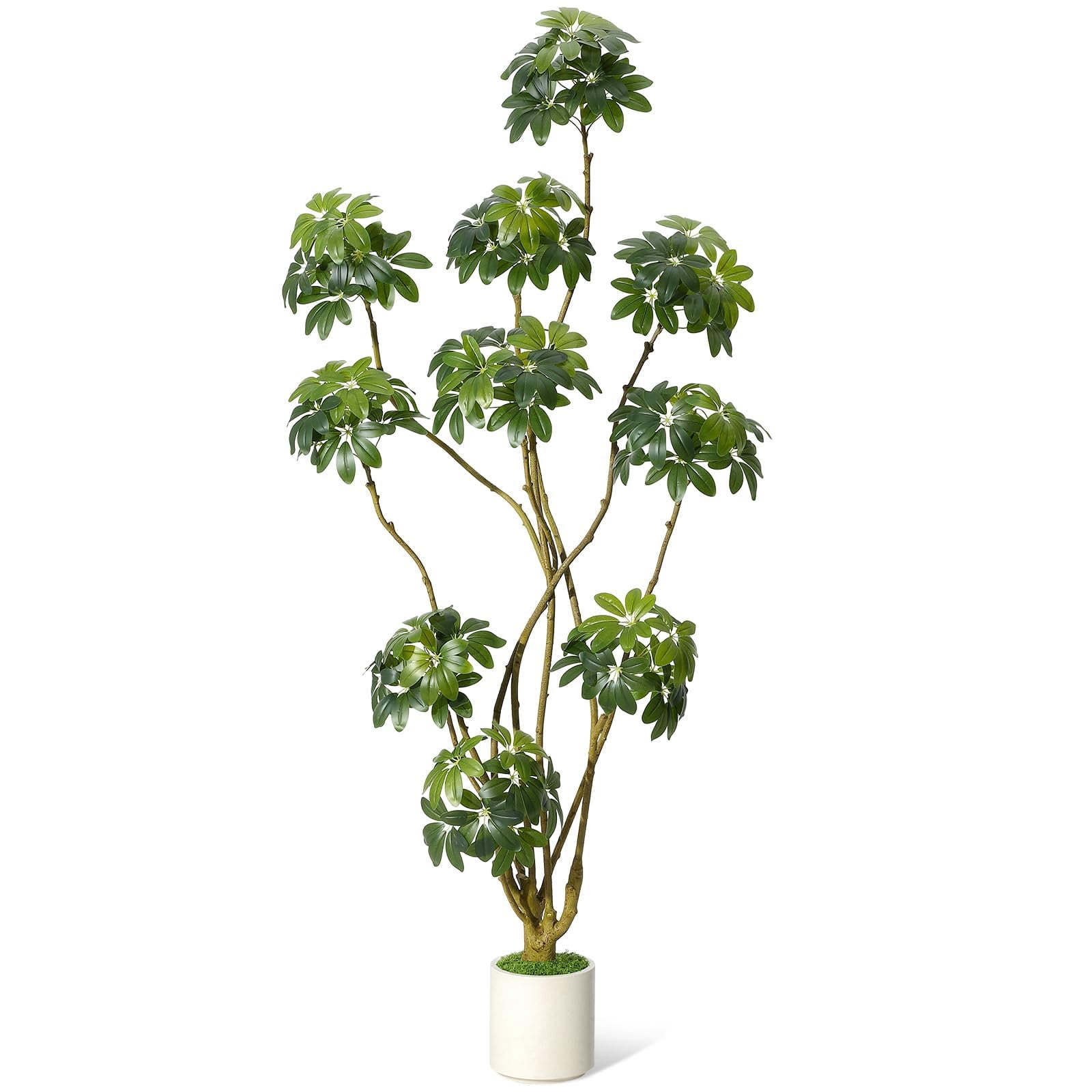 7ft Faux Black Olive Tree with White Planter, Adjustable Trunk ...