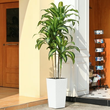 7FT Faux Olive Tree Tall,Olive Trees Artificia Indoor with White ...