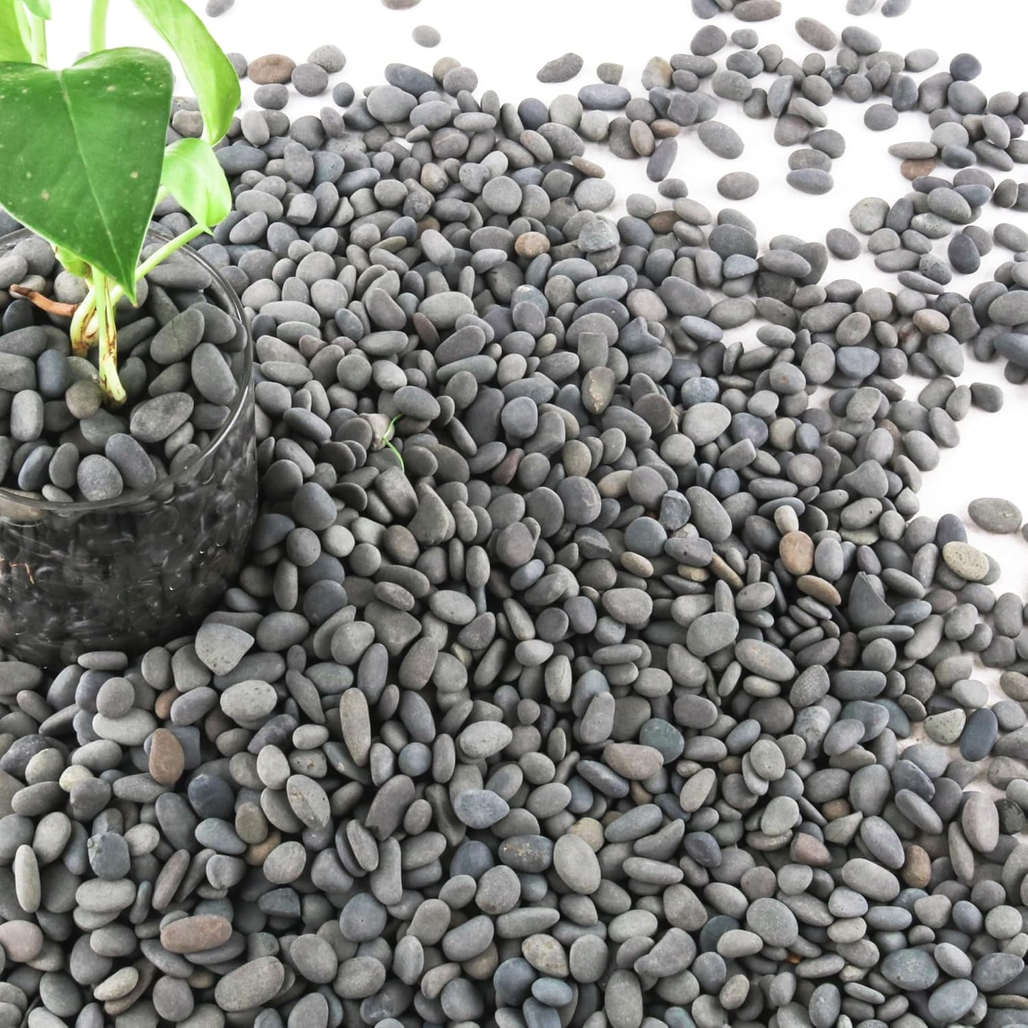 7lb River Rocks Pebbles for Plants & Succulents, Decorative Outdoor ...