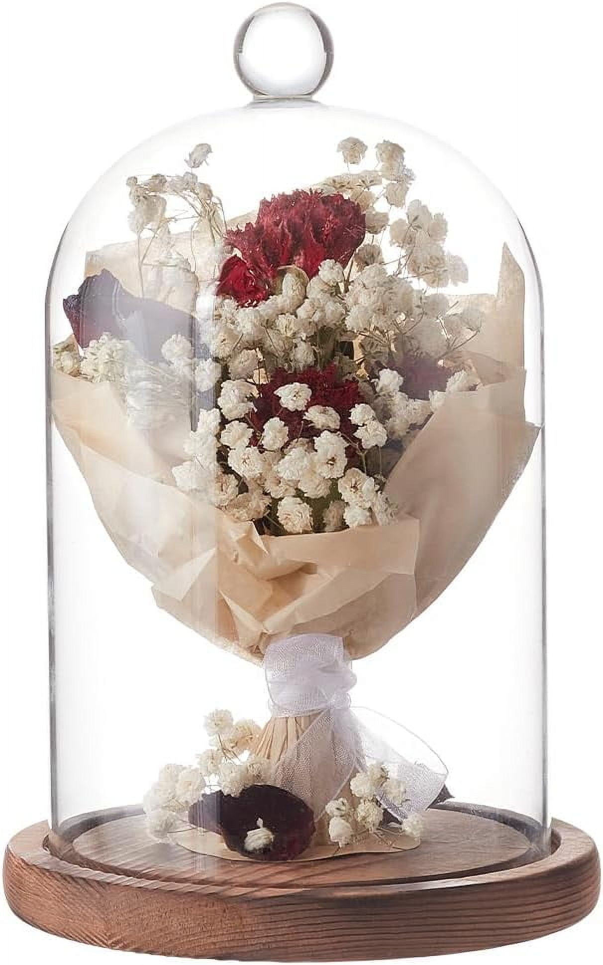 7x5 Inch Glass Dome Cloche with Wooden Base Rustic Bell Jar Display ...