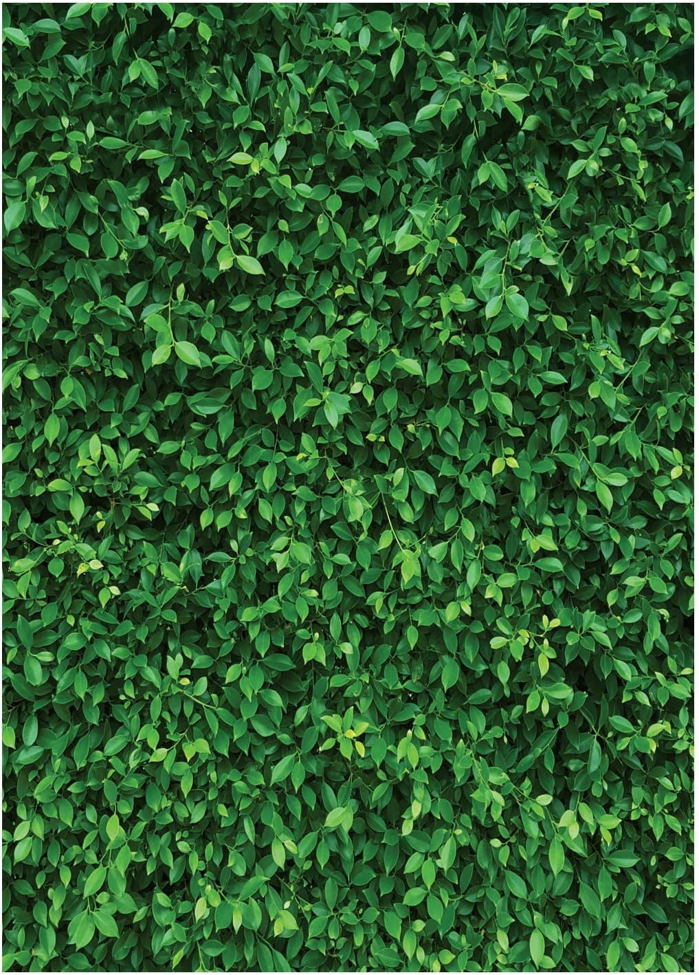 7x5FT Green Leaves Photography Backdrops Nature Backdrop Birthday ...