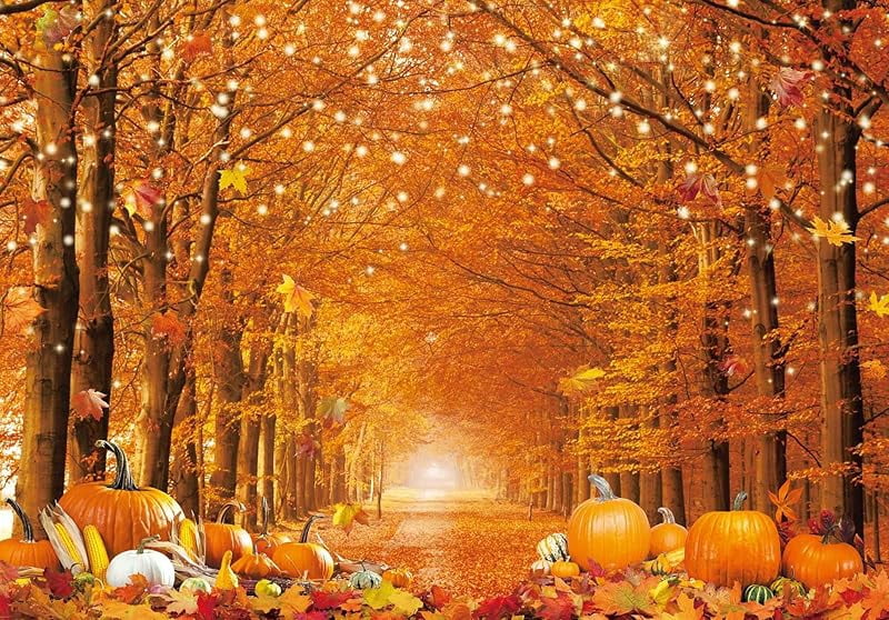 7x5FT Polyester Fabric Fall Autumn Photo Backdrop for Photography ...