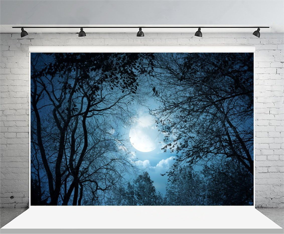 7x5Ft Forest Night View Backdrop Night Sky Moon Moonlight Tree ...