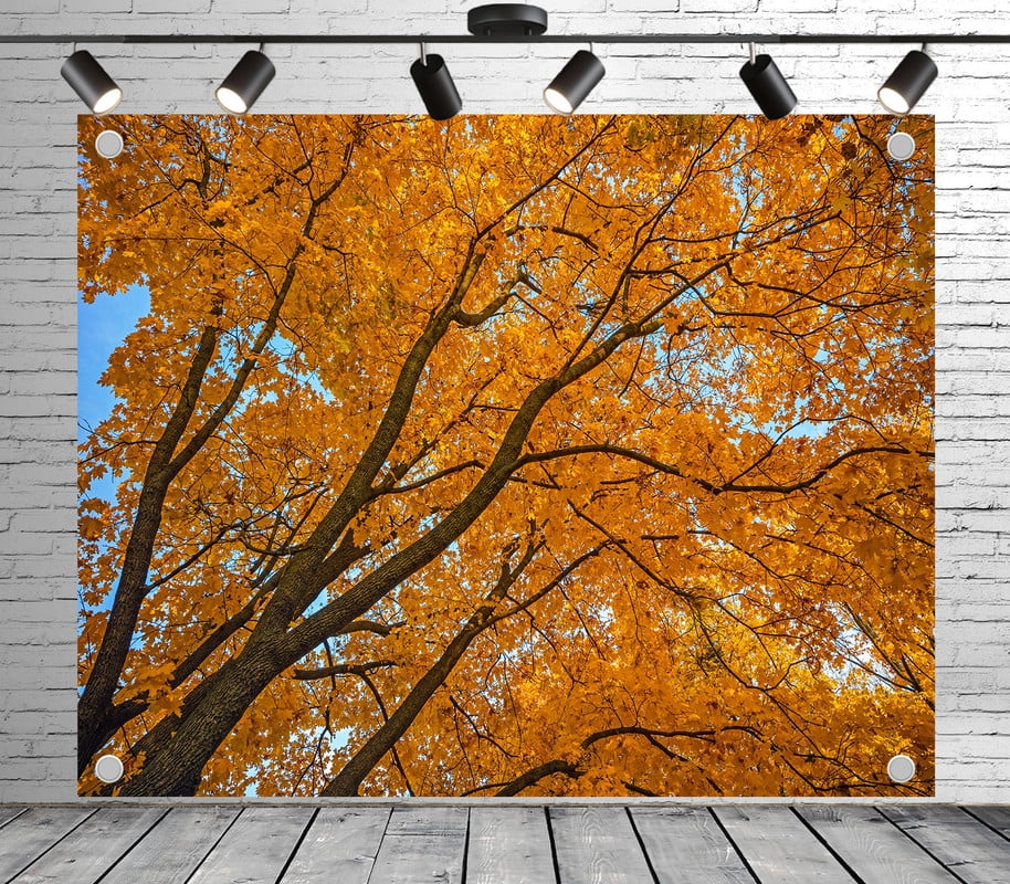 7x5ft Autumn Backdrop Golden Tree Canopy Photo Backdrop Photography ...