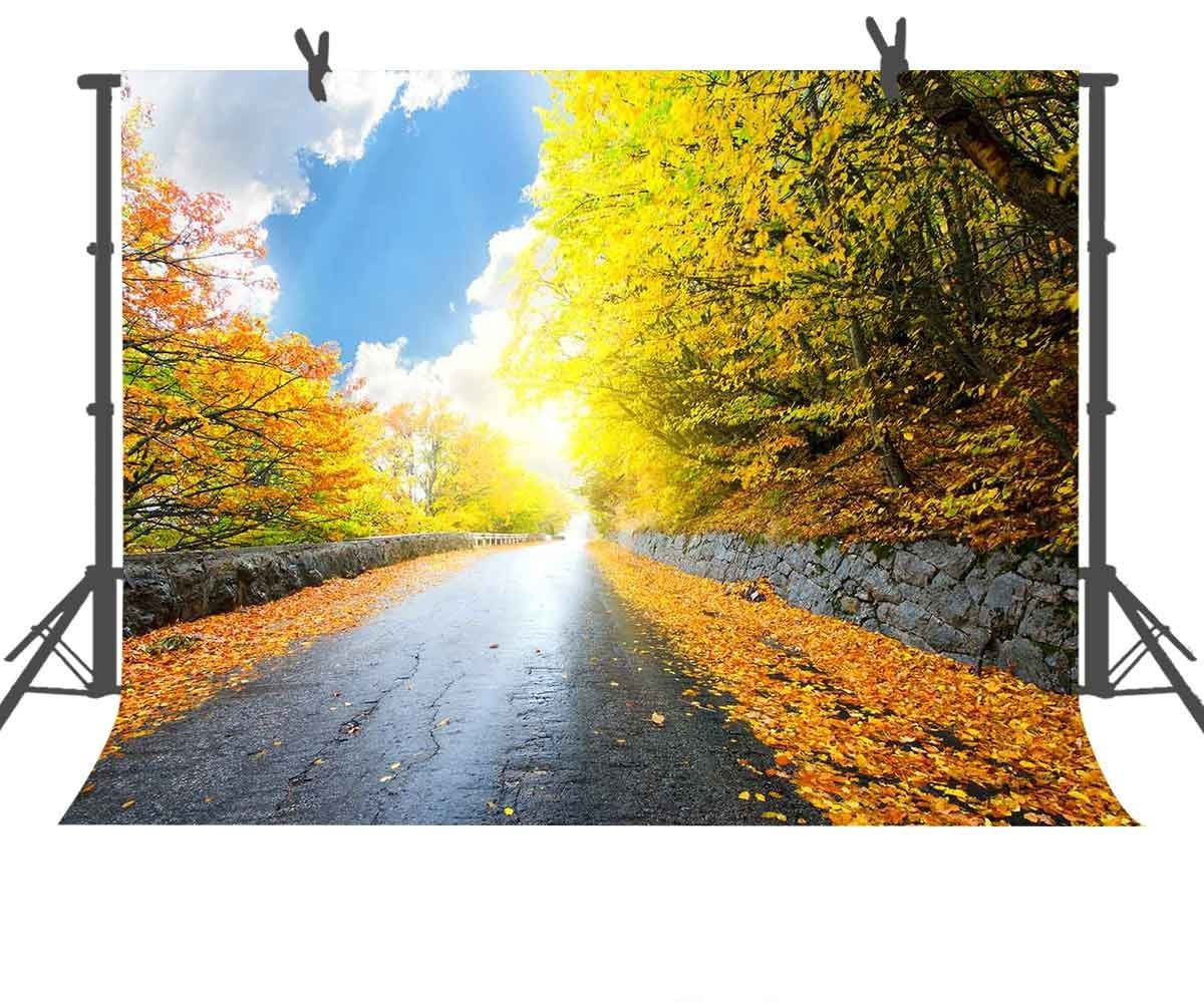 7x5ft Autumn Leaves Road Photography Backdrop Photo Props Room Mural ...