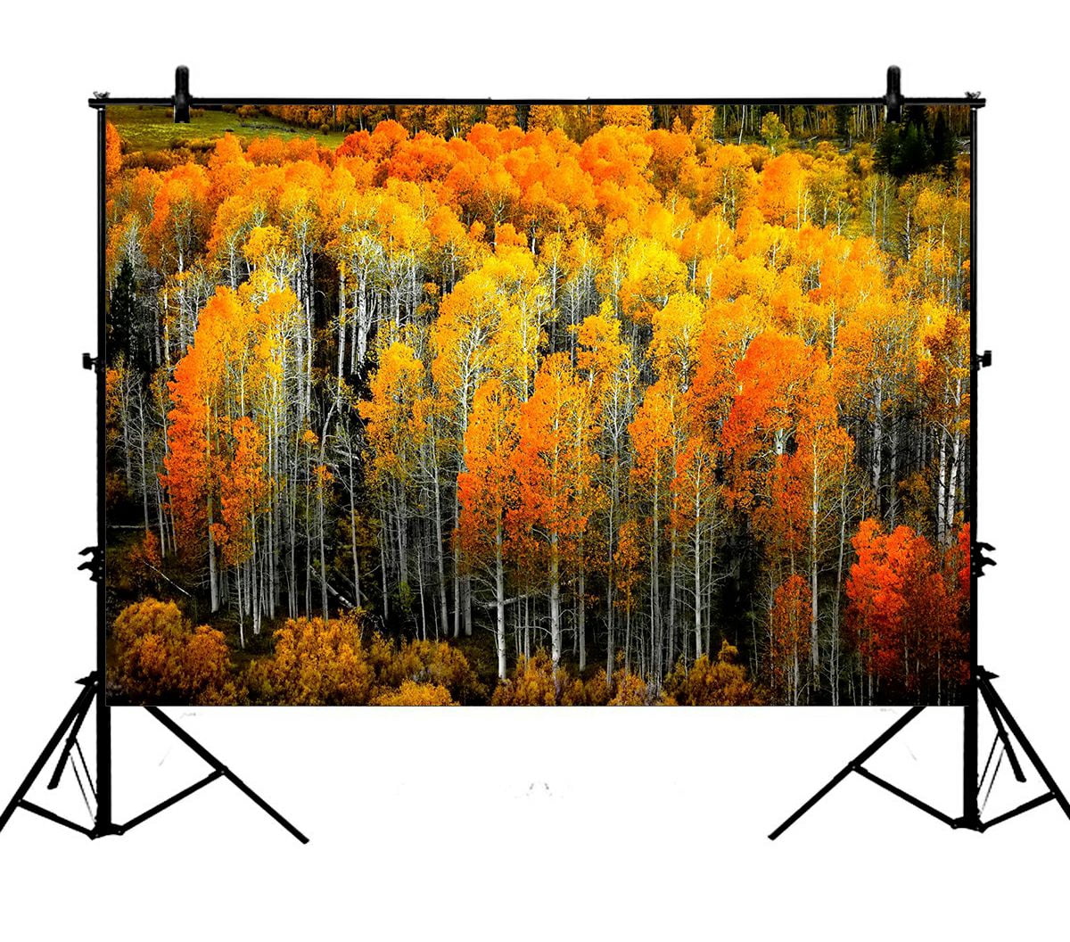7x5ft Birch Tree Polyester Photography Backdrop For Studio Prop Photo ...
