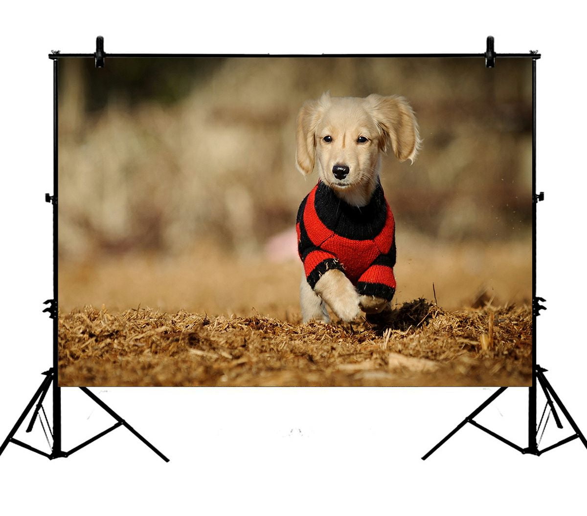 7x5ft Dachshund Polyester Photography Backdrop For Studio Prop Photo ...