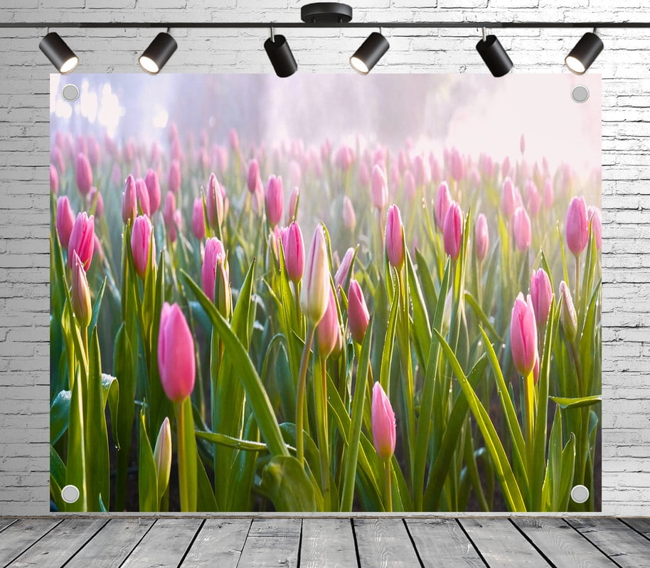 7x5ft Delicate Pink Tulip Field Backdrop Photoshoot Photo Backdrop ...