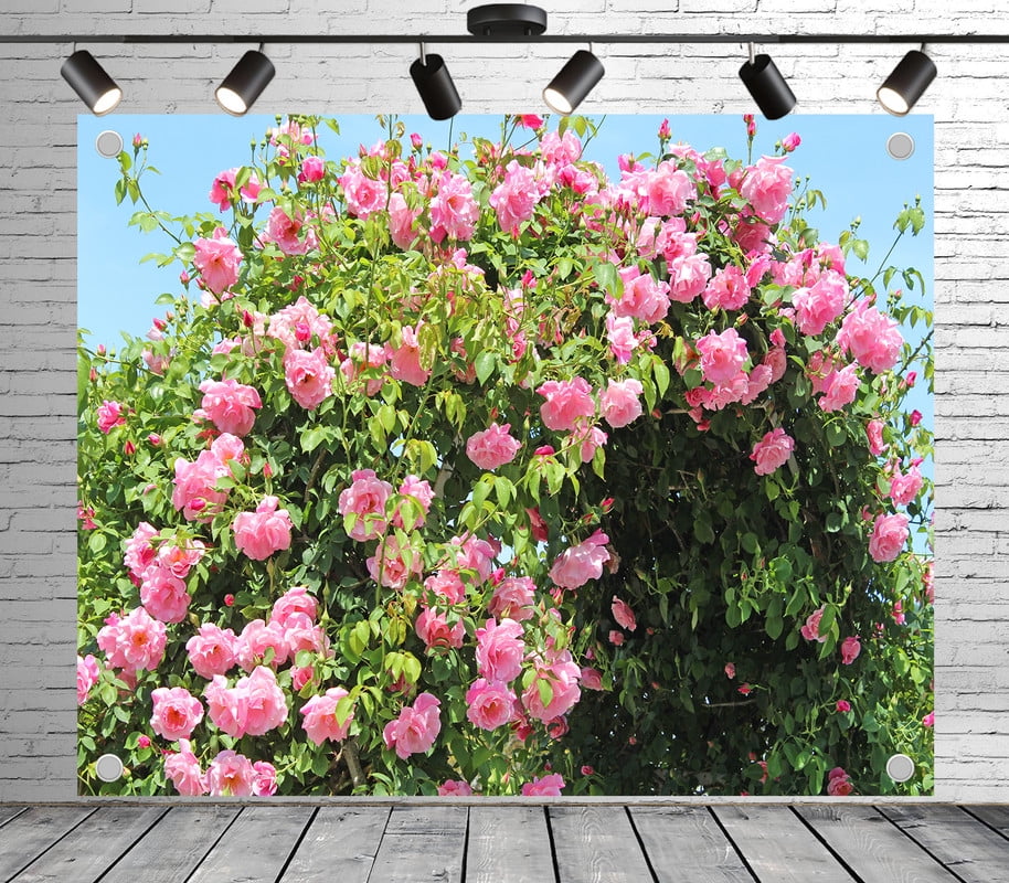 7x5ft Floral Backdrop Pink Rose Bush Photo Backdrop Garden Background ...