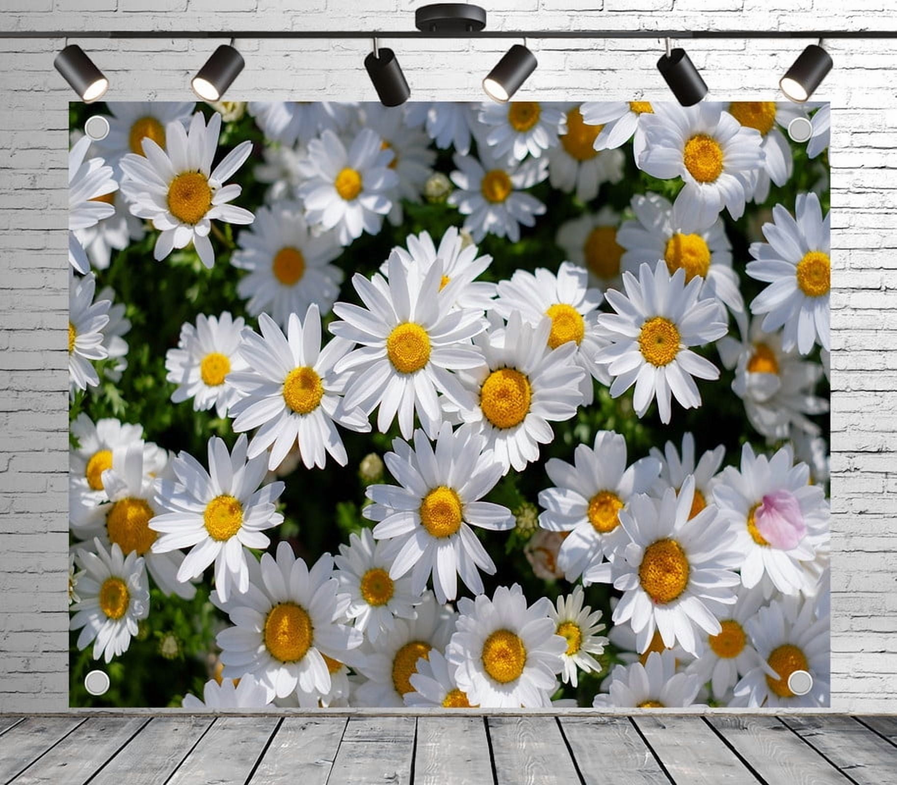 7x5ft Floral Backdrop White Daisy Field Photo Backdrop Garden ...