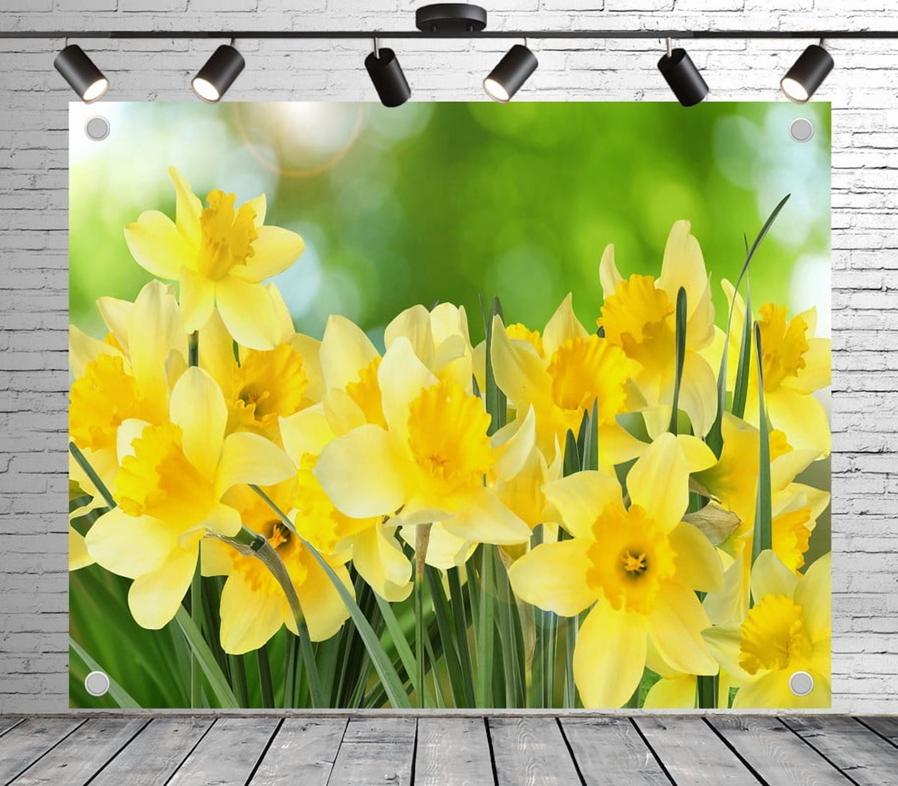 7x5ft Floral Backdrop Yellow Daffodil Photo Backdrop Garden Background ...