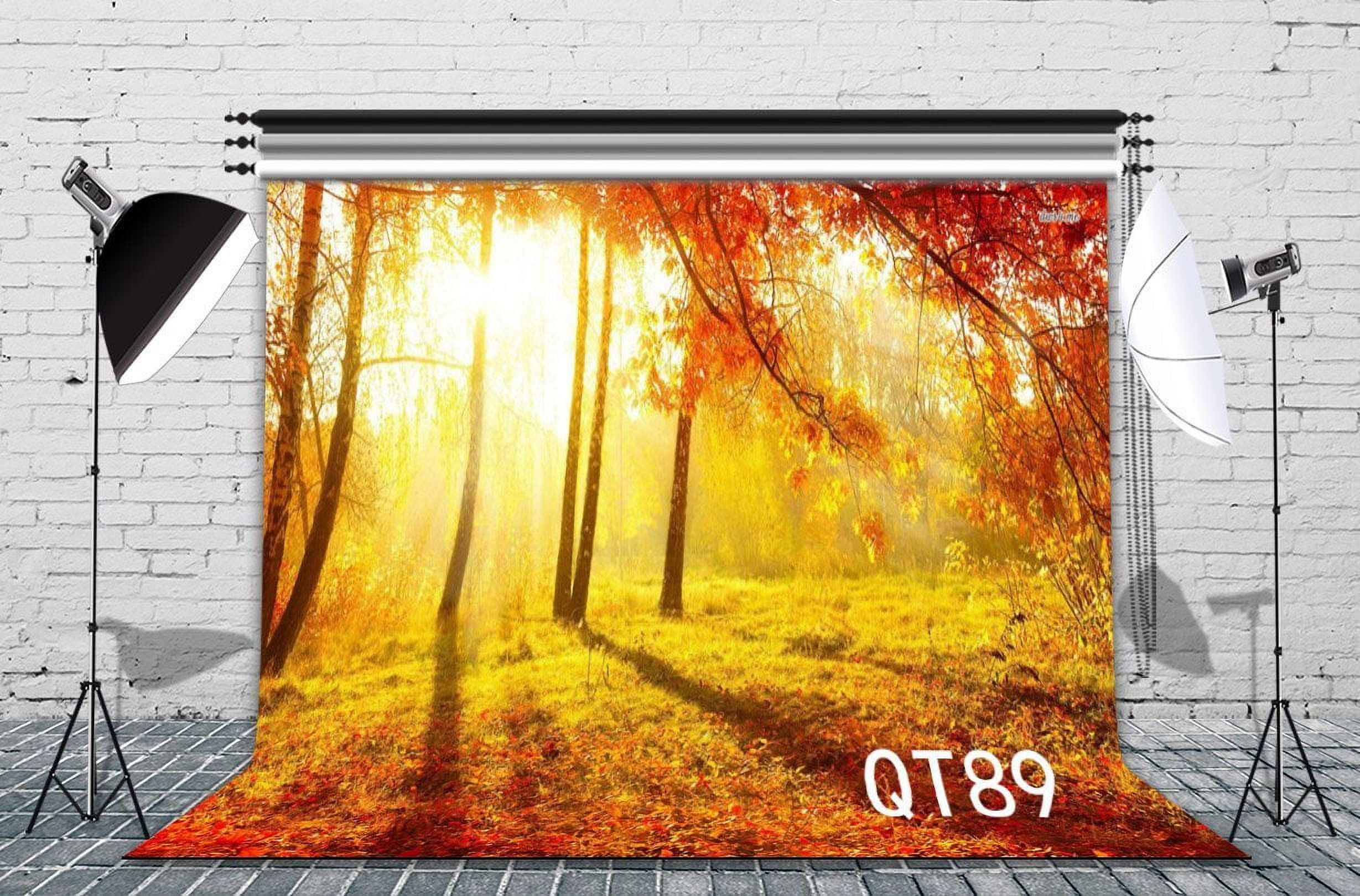 7x5ft Golden Wood Fall Scenery Photography Backdrops Studio Background ...