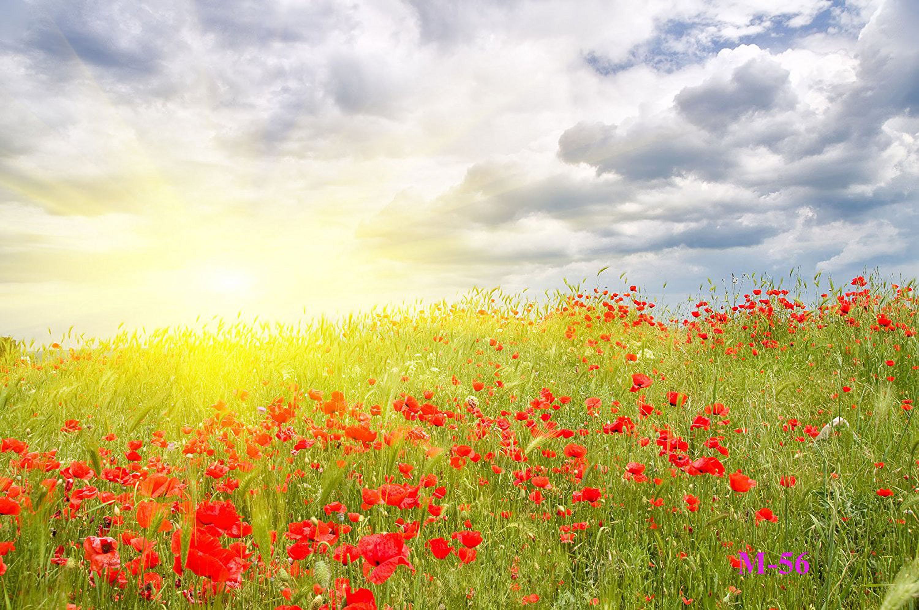 7x5ft Nature Scenery Photo Backdrop photography Backdrop Background ...