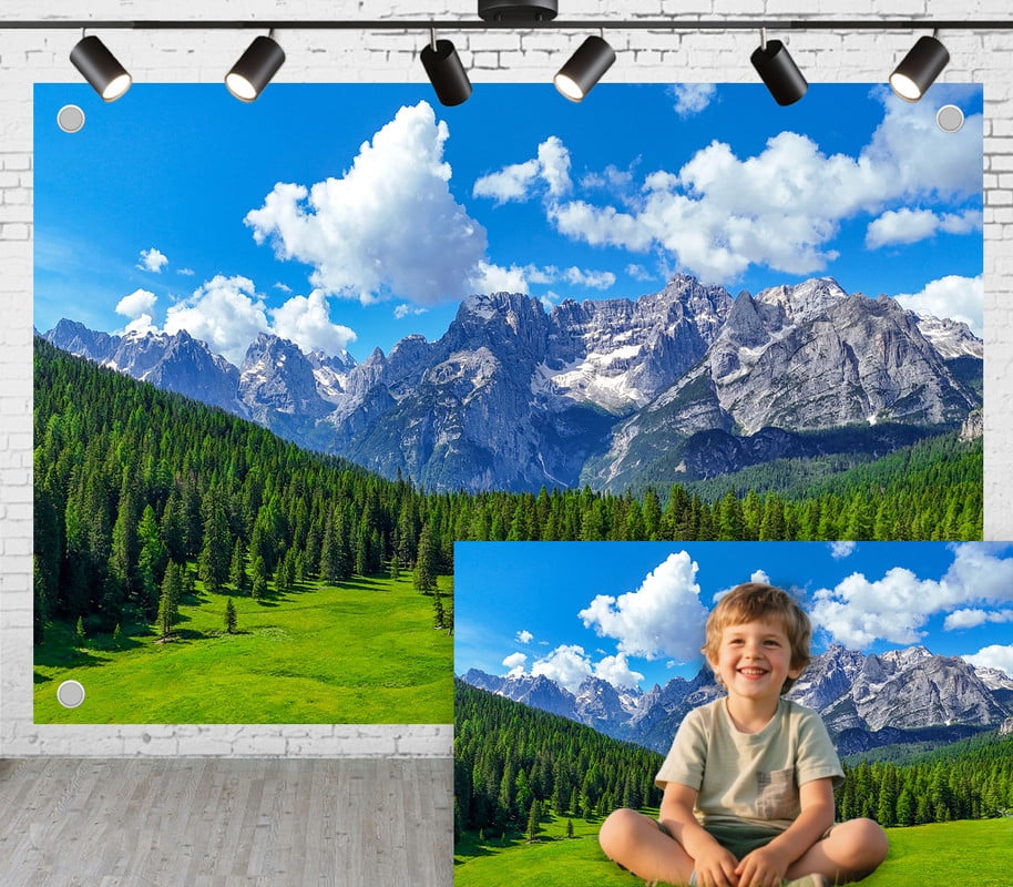 7x5ft Outdoor Background Blue Sky White Clouds Snow Capped Peaks Pine ...