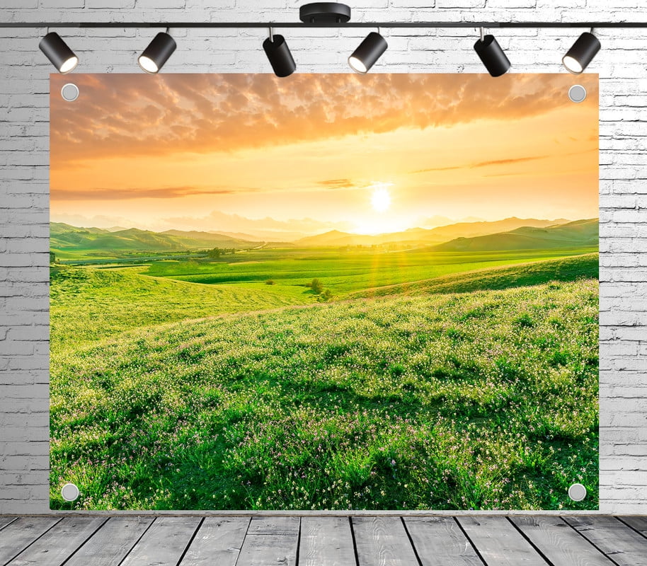 7x5ft Outdoor Background Sunset Kissed Flowering Meadow & Rolling Hills ...