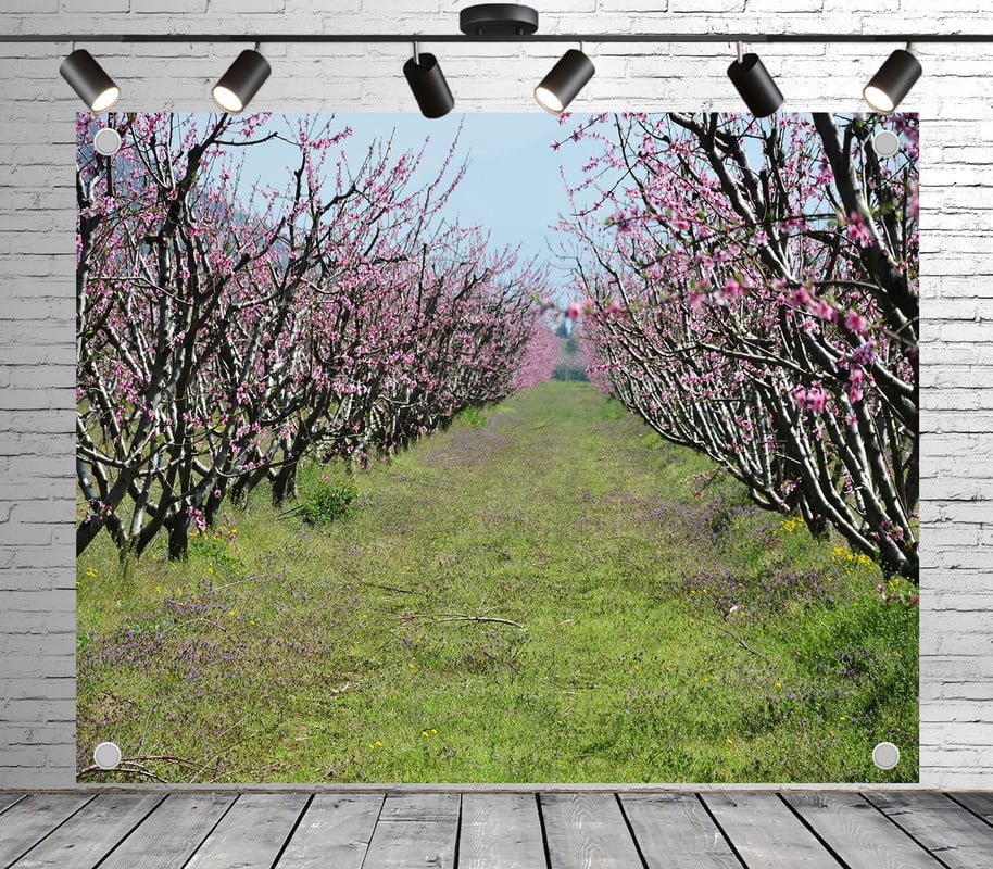 7x5ft Peach Blossom Orchard Backdrop Photoshoot Photo Backdrop Nature ...