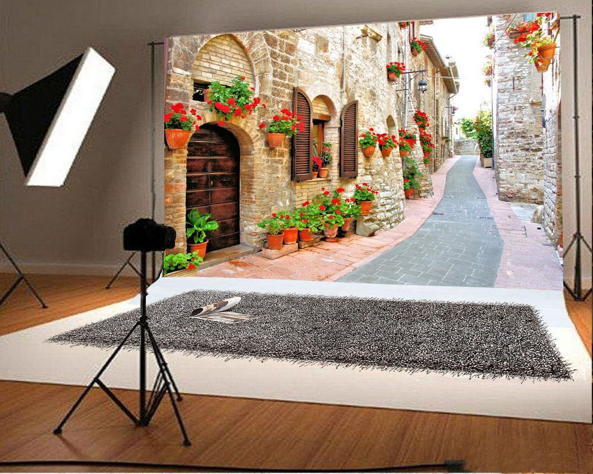 7x5ft Photography Backdrop Beautiful Outdoor View And Road Scene ...