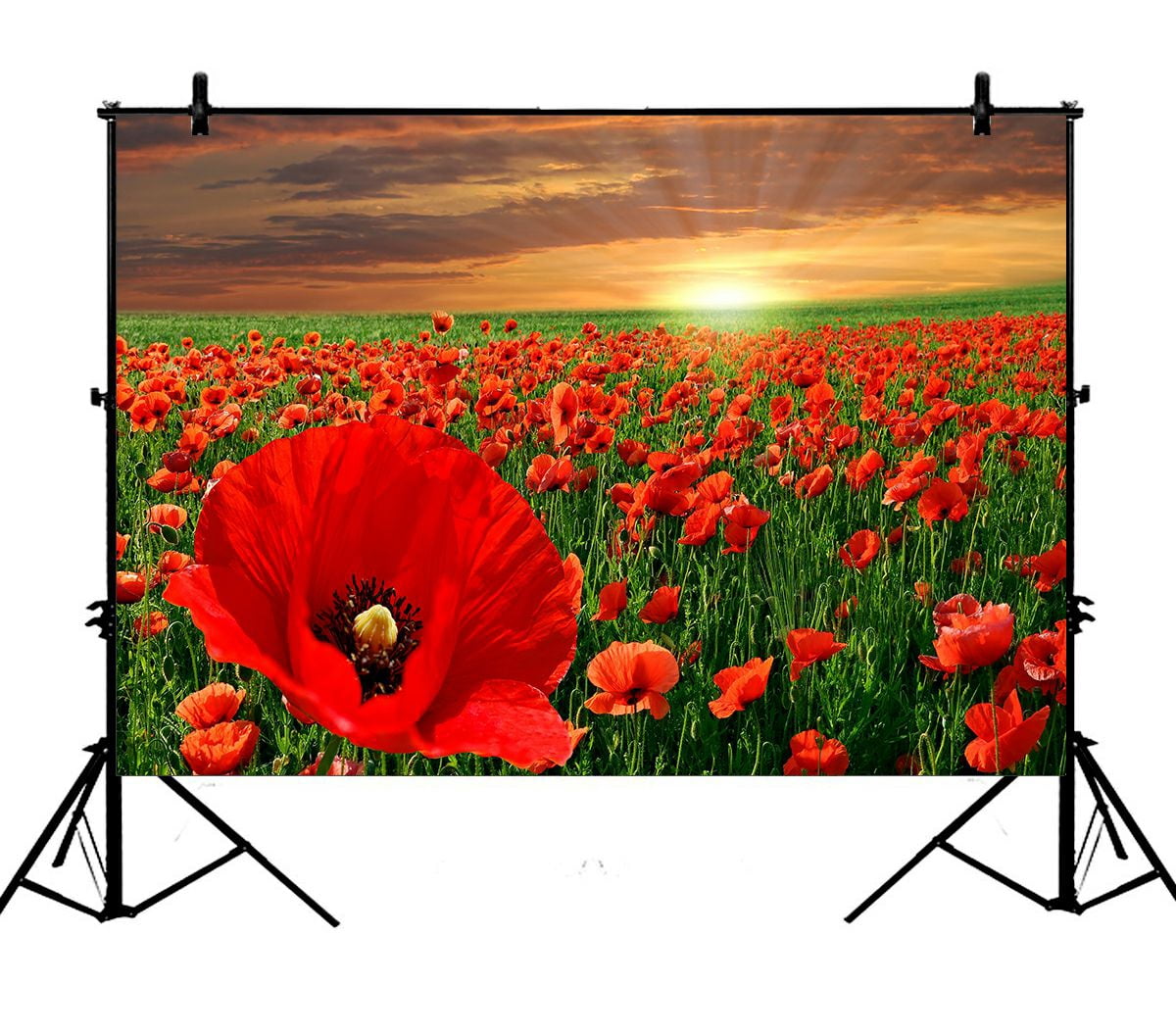 7x5ft Poppy Flowers Polyester Photography Backdrop For Studio Prop ...