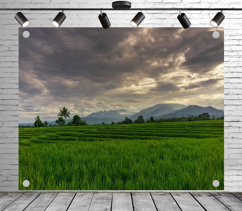 7x5ft Rustic Backdrop Green Rice Field and Mountainous Photo Backdrop ...