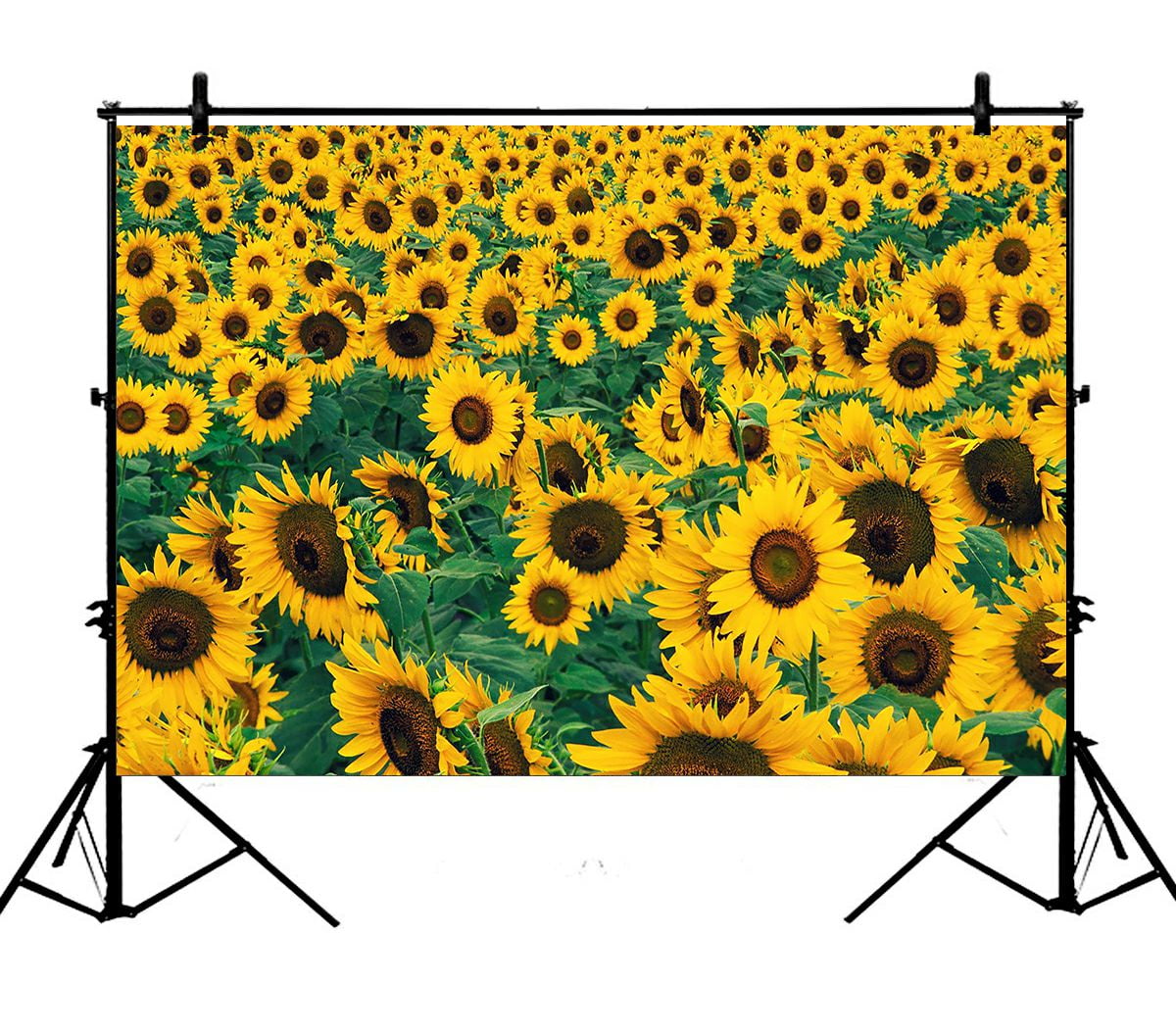 7x5ft Sunflower Lanscape Field Polyester Photography Backdrop For ...