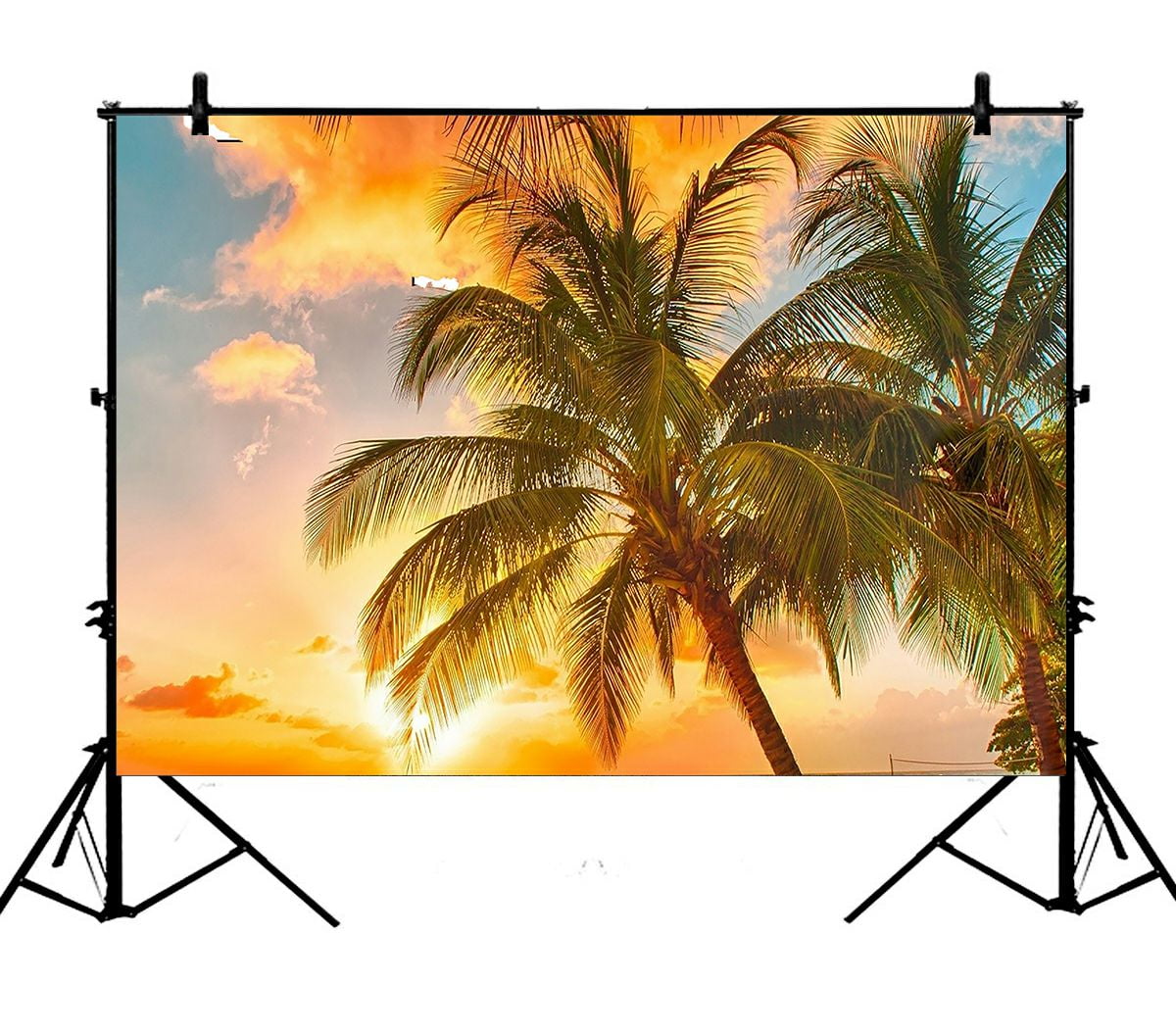 7x5ft Tropical Paradise Beach With Palm Trees And The Seaocean ...