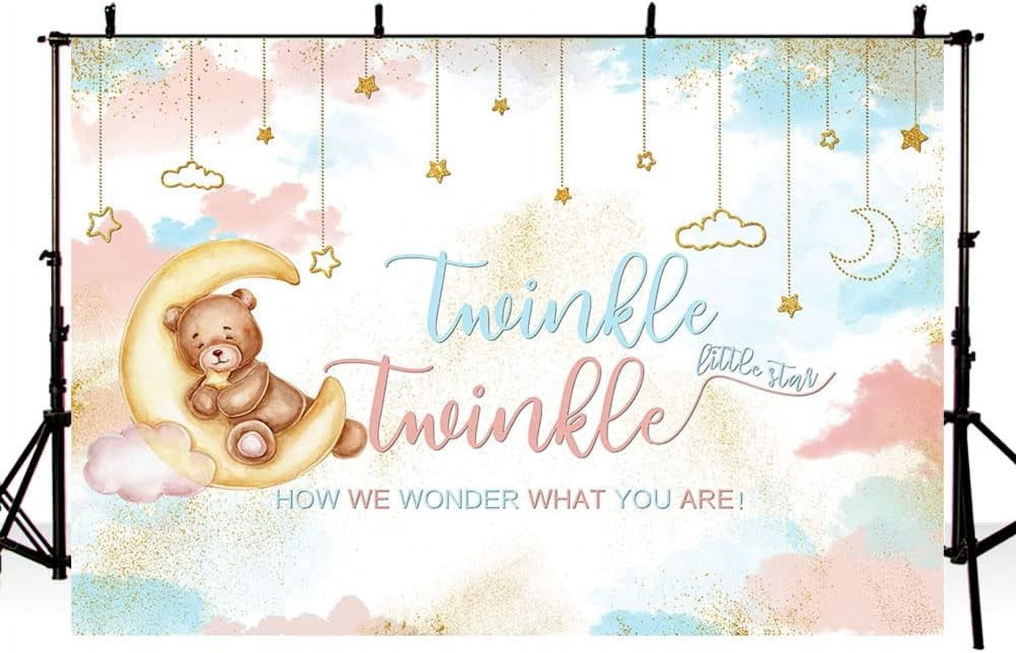 7x5ft Twinkle Twinkle Little Star Gender Reveal Backdrop Boy or Girl ...