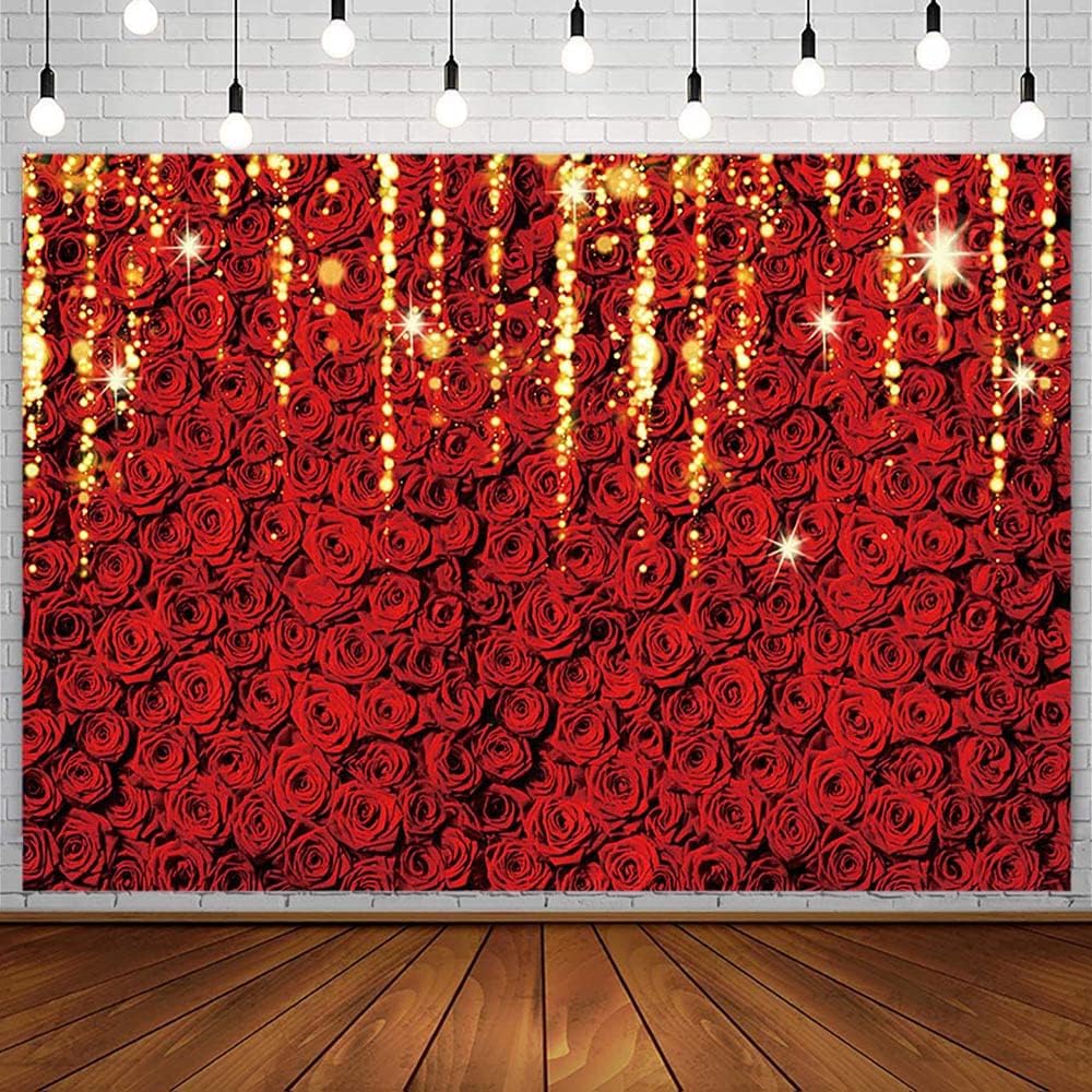 7x5ft Valentine's Day Backdrop Red Rose Flowers Gold Glitter ...
