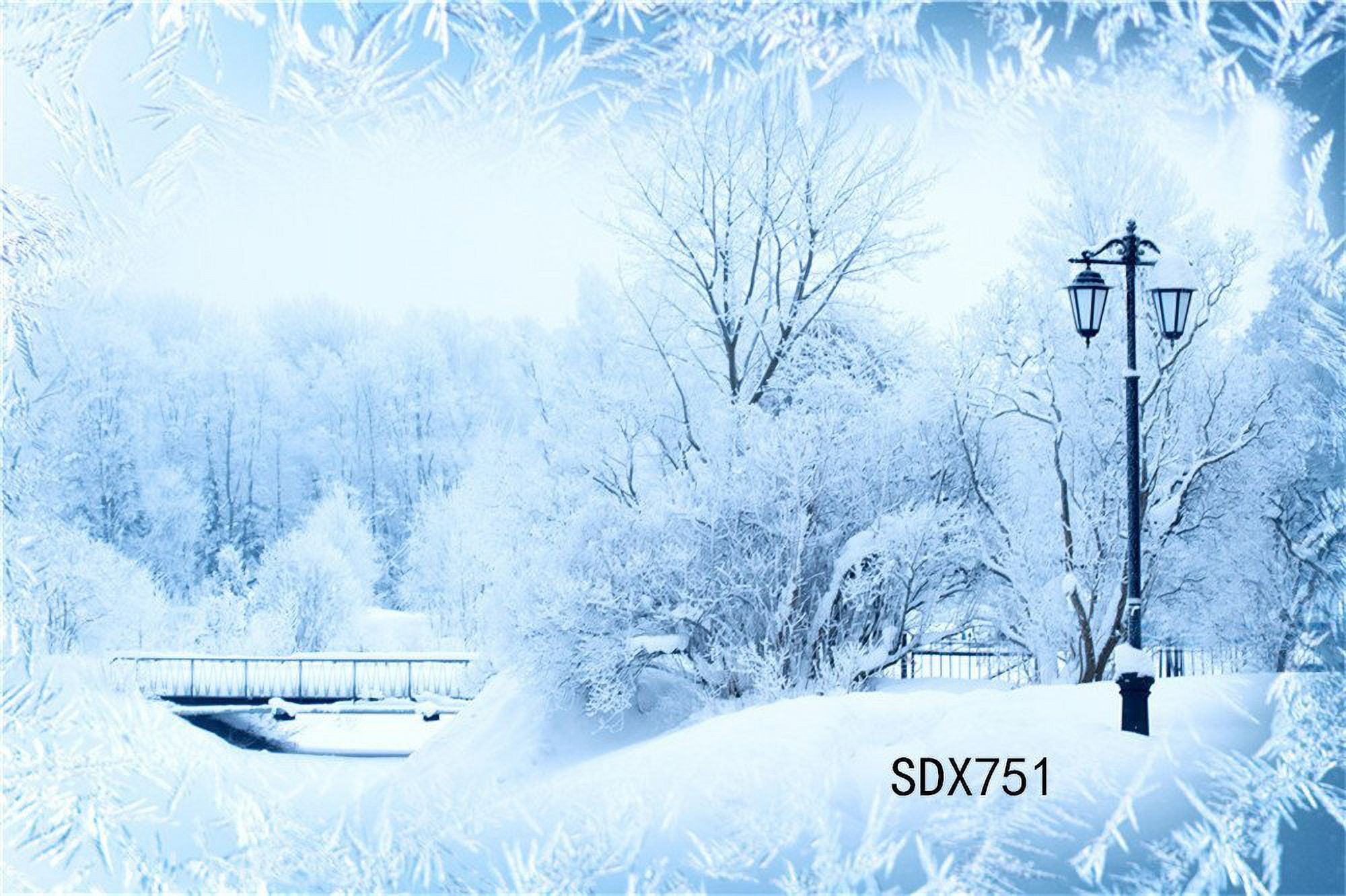 7x5ft World of Ice and Snow Christmas Photography Backdrops Studio ...