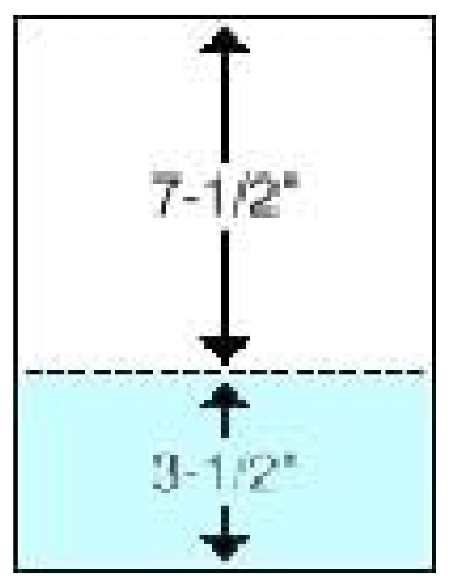 8 1/2 x 11 Blank Perforated 20# Paper with Sky Blue Tinted 3 1/2 ...